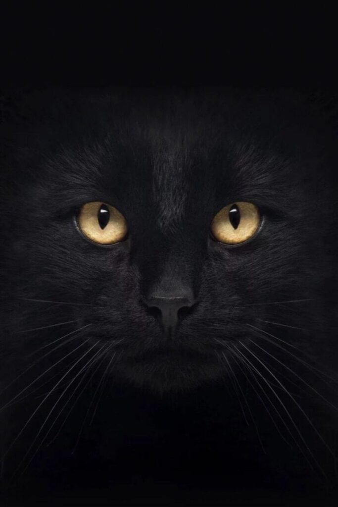 Tổng hợp 80+ hình nền màu đen đẹp nhất cho dế yêu